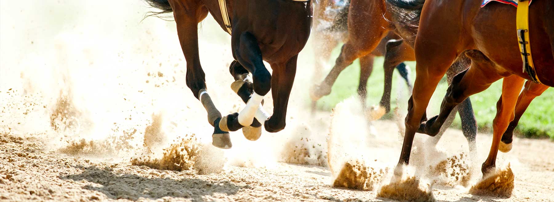 Equestrian Surfaces | KEENAN Industrial